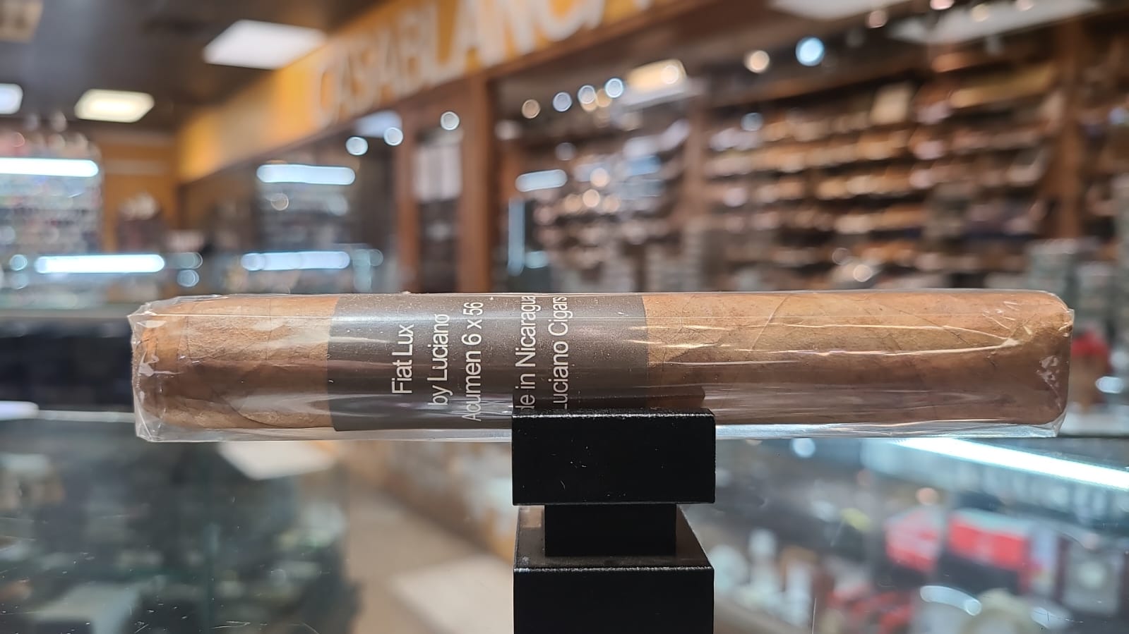 Luciano - Fiat Lux - Acumen