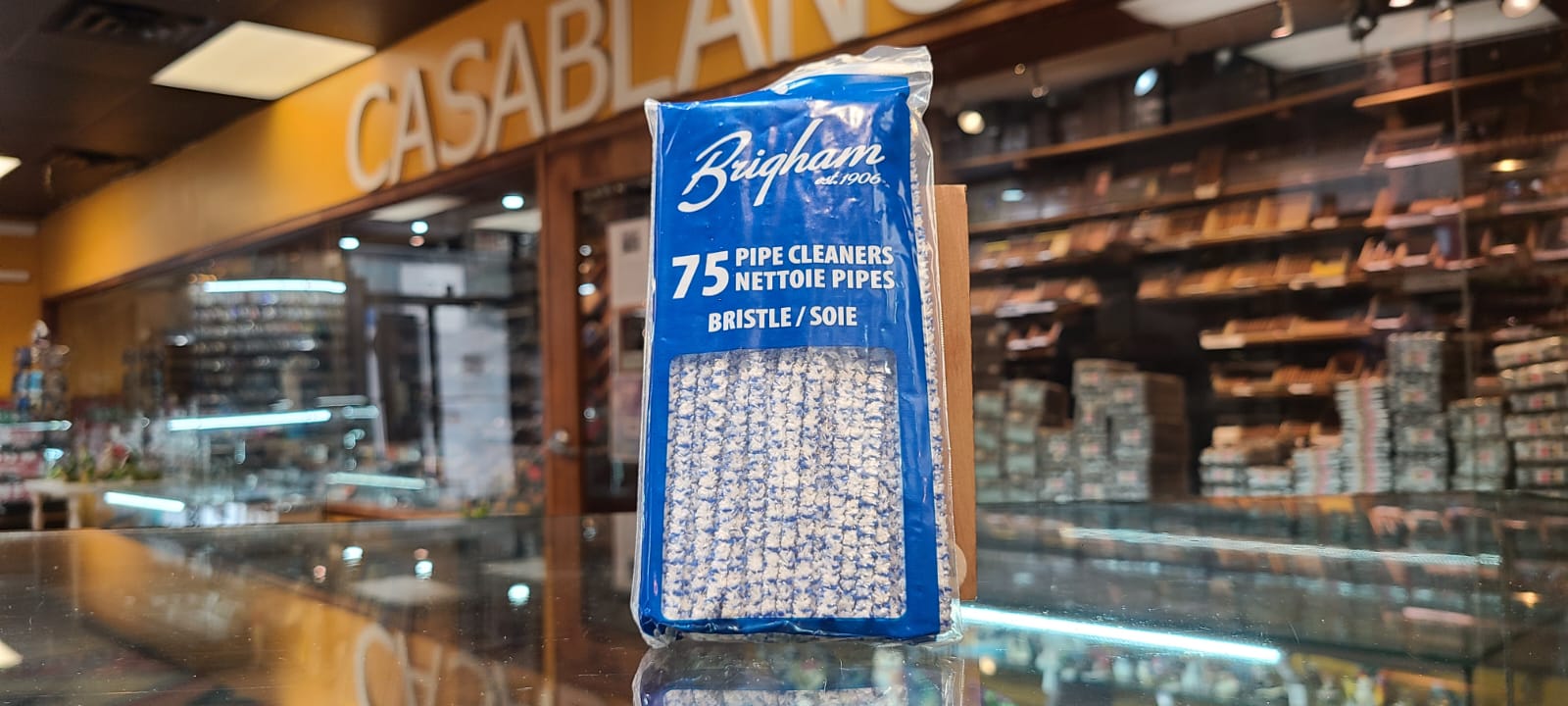 Pipe Cleaners - Bristle - Brigham